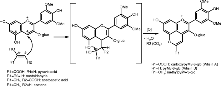 Formation of pyranoanthocyanins in red wines: a new and diverse class ...