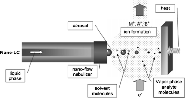 Electron ionization in LC-MS: recent developments and applications of ...