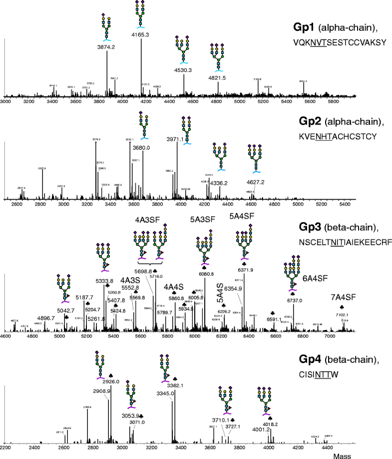 Analysis of recombinant human follicle-stimulating hormone (FSH) by ...
