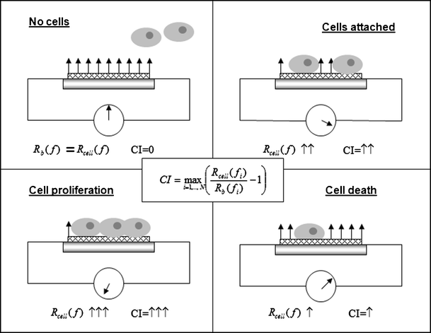Real-time cell-impedance sensing assay as an alternative to clonogenic ...