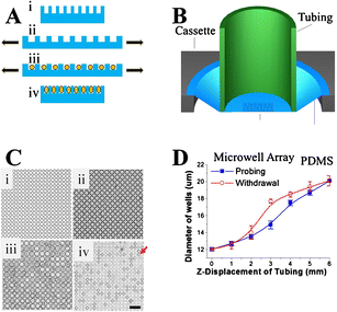 Trapping cells on a stretchable microwell array for single-cell ...
