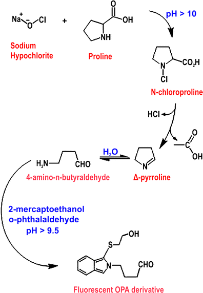 Post-column labeling techniques in amino acid analysis by liquid ...