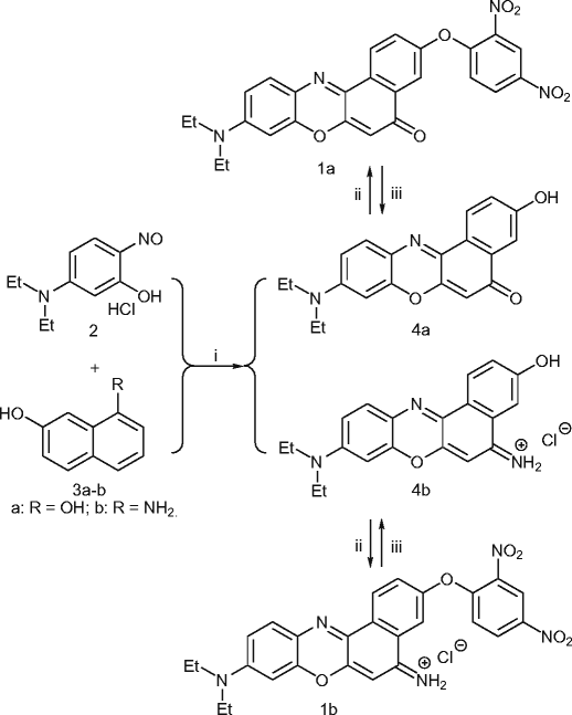 Nile-red and Nile-blue-based near-infrared fluorescent probes for in ...