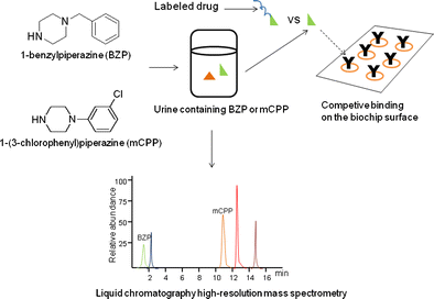Biochip array technology immunoassay performance and quantitative ...