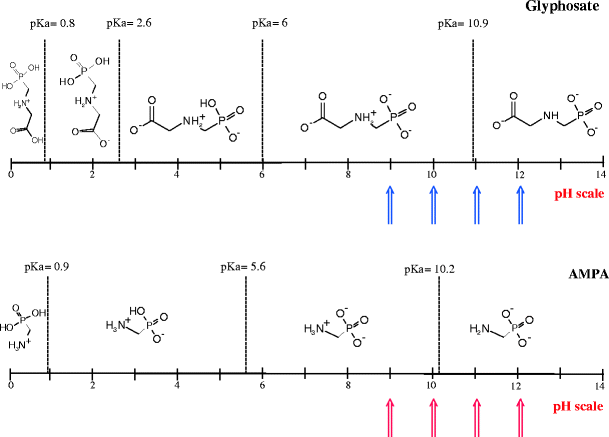 Dual element (15N/14N, 13C/12C) isotope analysis of glyphosate and AMPA ...