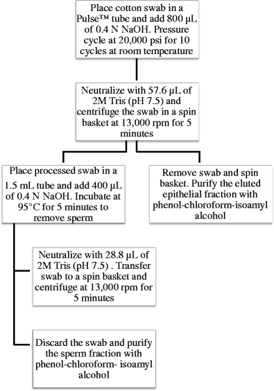 The application of alkaline lysis and pressure cycling technology in ...