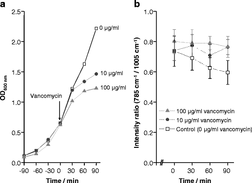 Identification of vancomycin interaction with Enterococcus faecalis ...