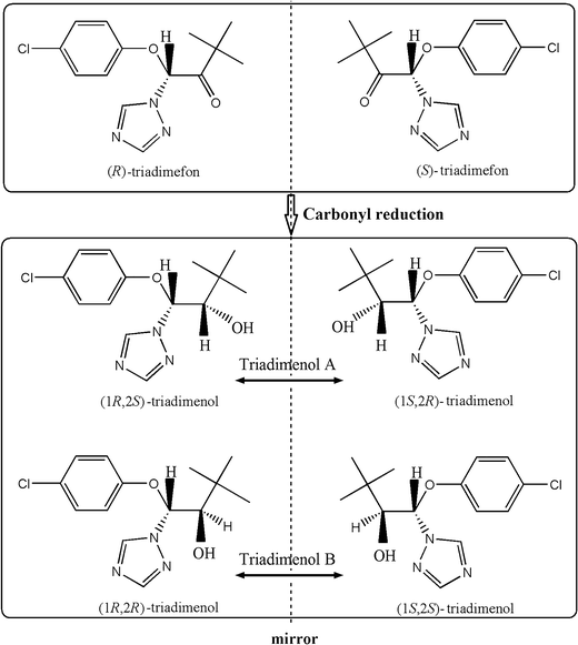 Simultaneous enantioselective determination of triadimefon and its ...