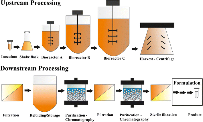 Spectroscopic sensors for in-line bioprocess monitoring in research and ...
