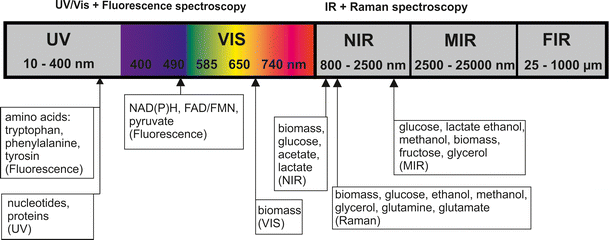 Spectroscopic sensors for in-line bioprocess monitoring in research and ...