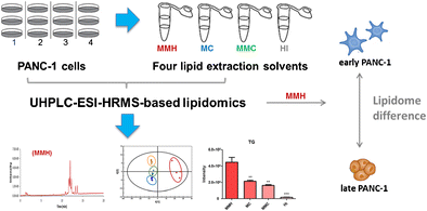 Optimization of lipid extraction and analytical protocols for UHPLC-ESI-HRMS-based lipidomic ...