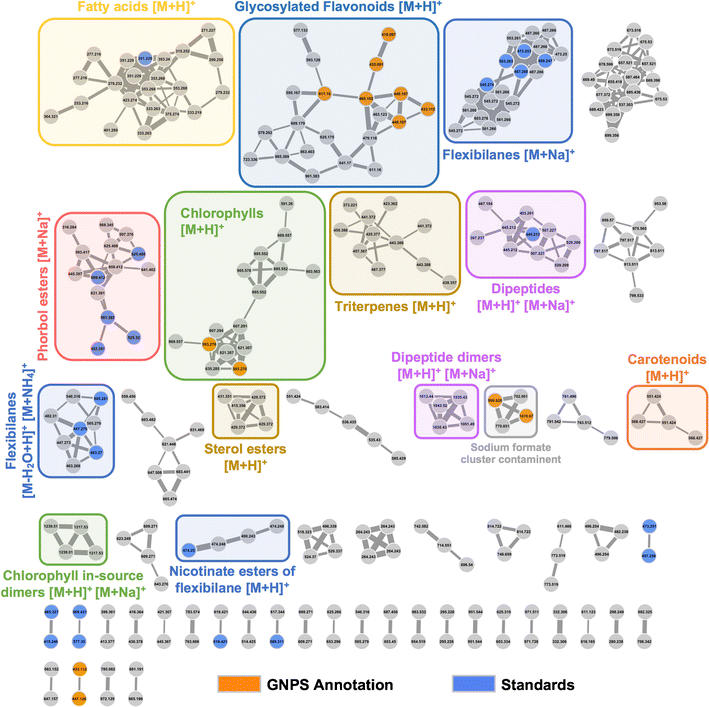 Optimized experimental workflow for tandem mass spectrometry molecular ...