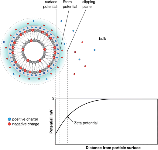 Zeta potential: a case study of cationic, anionic, and neutral ...