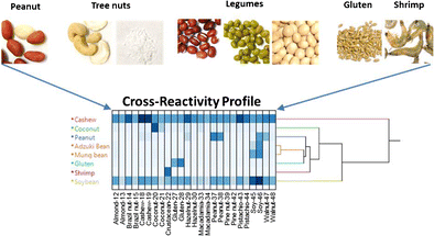 Cross-reactivity profiles of legumes and tree nuts using the xMAP ...