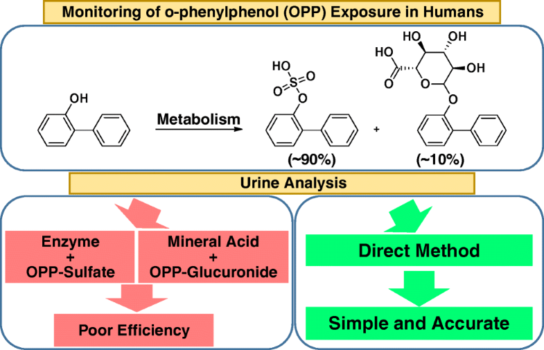 New approach for the determination of ortho-phenylphenol exposure by ...