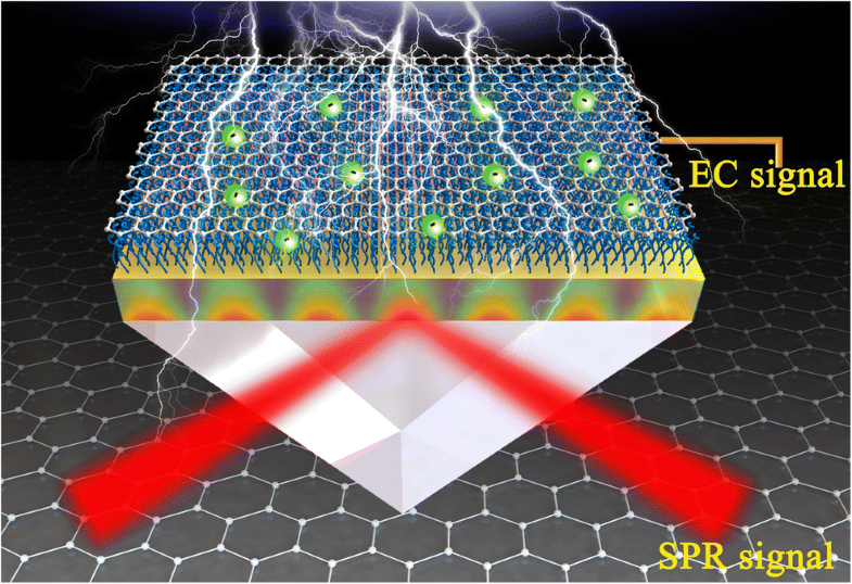 Single-layer graphene-coated gold chip for electrochemical surface ...