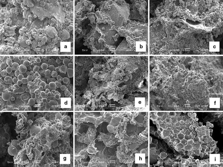 Investigation of product quality, sensory profile and ultrastructure of ...