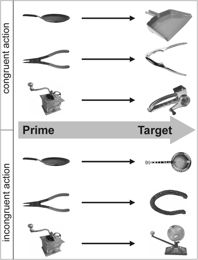 The role of action representations in visual object recognition ...