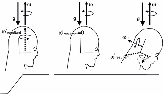 Space motion sickness | SpringerLink