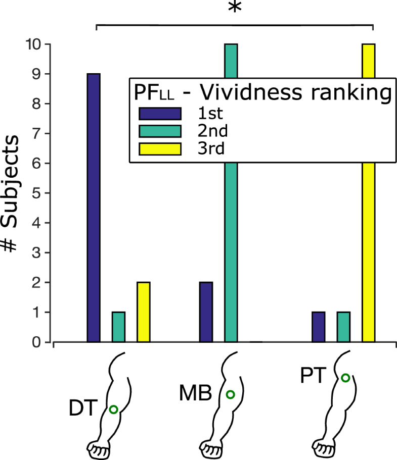 The preload force affects the perception threshold of muscle vibration ...