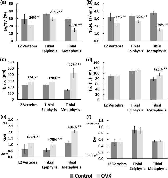 Characterising Bone Material Composition and Structure in the ...
