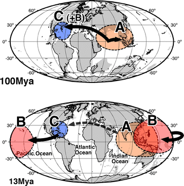 Hidden ancient diversification in the circumtropical lancelet ...