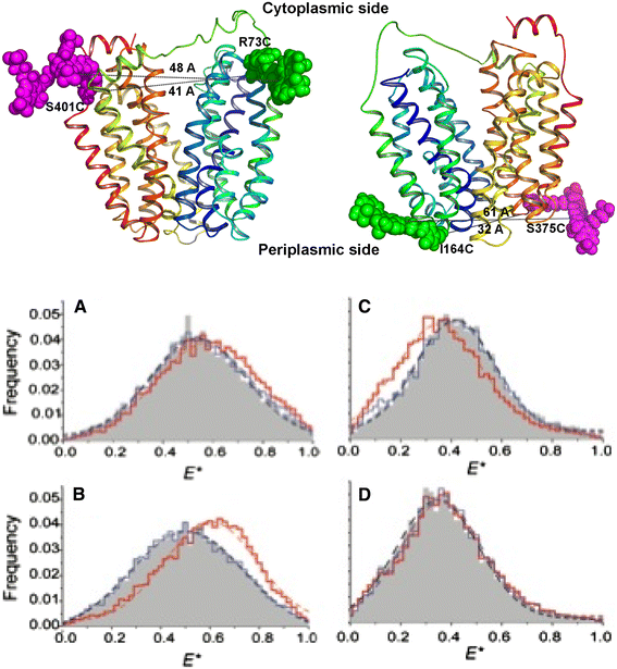 The Alternating Access Transport Mechanism in LacY | SpringerLink