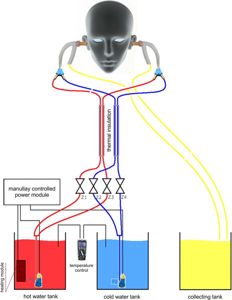Grey matter activation by caloric stimulation in patients with ...