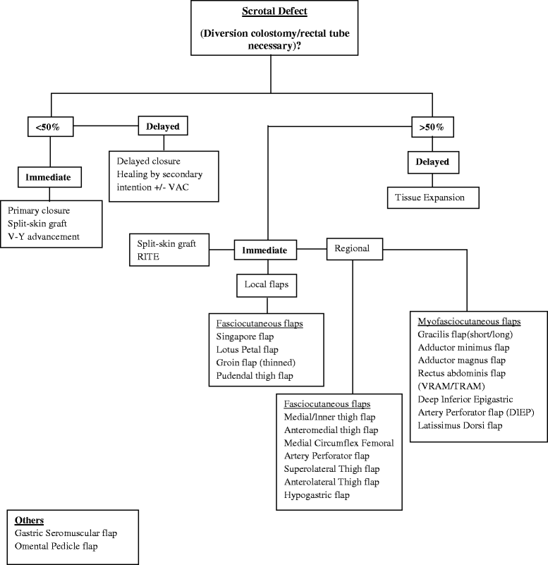 Scrotal reconstruction: a review and a proposed algorithm | SpringerLink