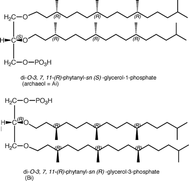 Early Evolution of Membrane Lipids: How did the Lipid Divide Occur ...