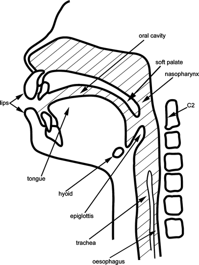 Current practice in paediatric videofluoroscopy | SpringerLink