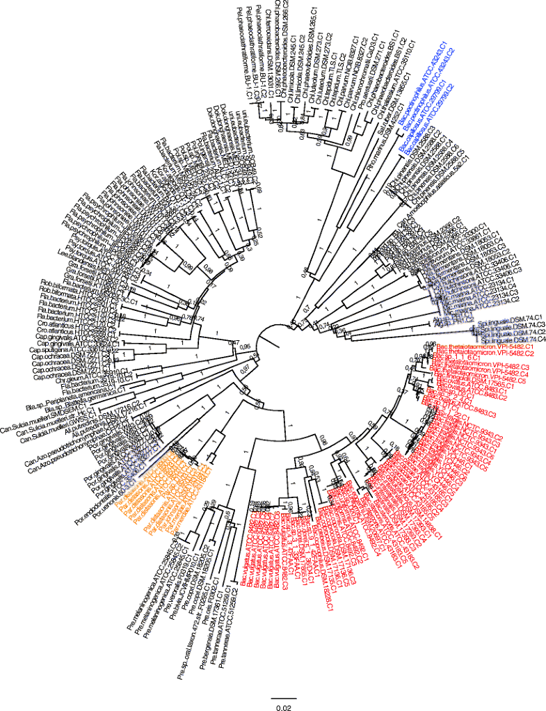 A Closer Look at Bacteroides: Phylogenetic Relationship and Genomic ...
