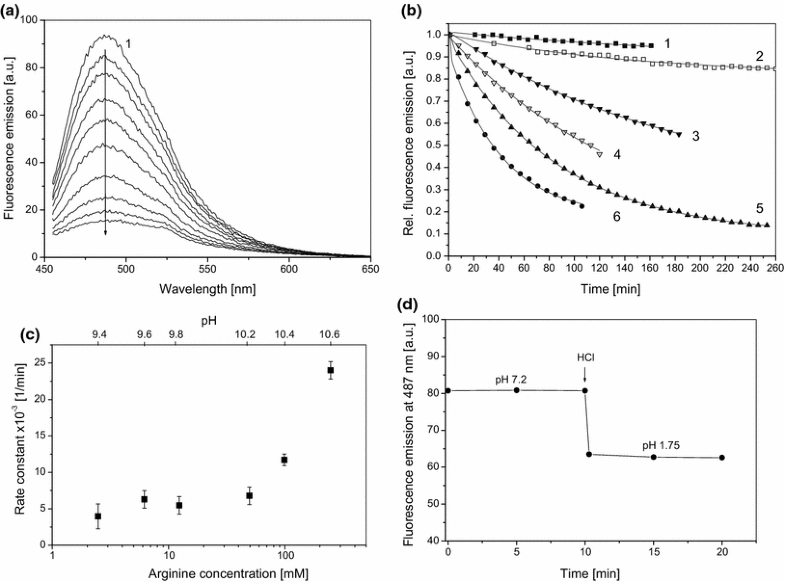 Effect of acidic and basic pH on Thioflavin T absorbance and ...