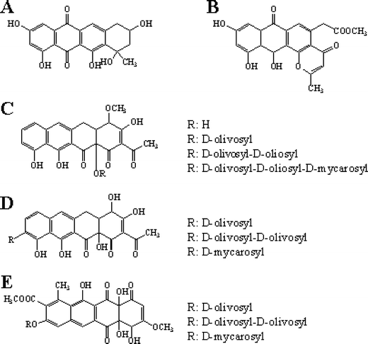 The aureolic acid family of antitumor compounds: structure, mode of ...