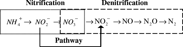 Biological nitrogen removal with nitrification and denitrification via ...