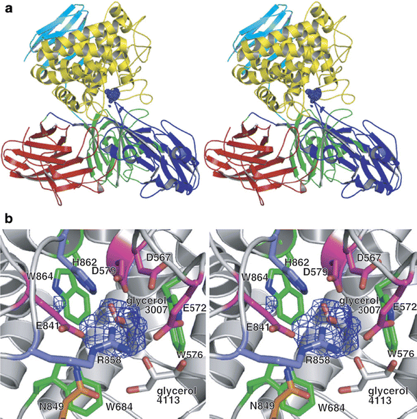 Updates on naringinase: structural and biotechnological aspects ...
