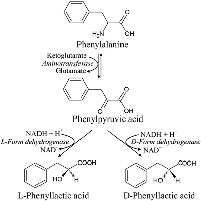 Recent research on 3-phenyllactic acid, a broad-spectrum antimicrobial ...