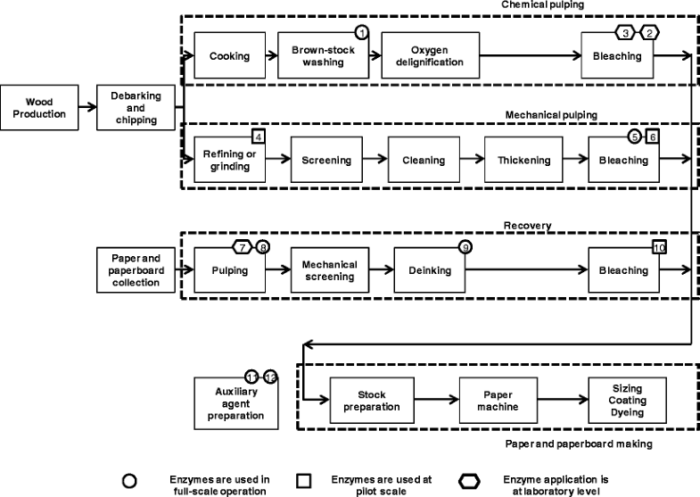 Enzymatic approaches in paper industry for pulp refining and biofilm ...