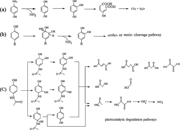 Paracetamol in the environment and its degradation by microorganisms ...