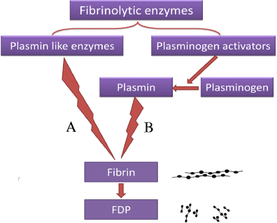 Activity assessment of microbial fibrinolytic enzymes | SpringerLink