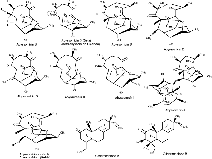Culturable rare Actinomycetes: diversity, isolation and marine natural ...