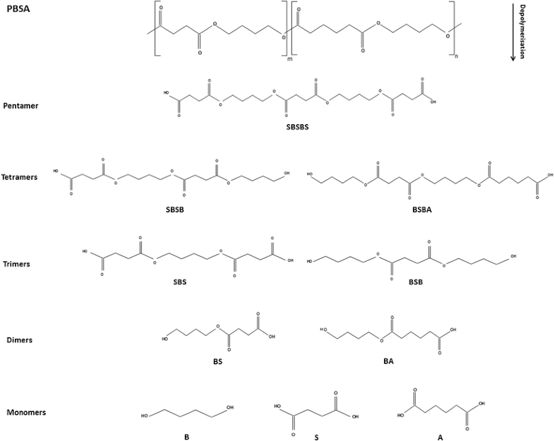 Microbial degradation of aliphatic and aliphatic-aromatic co-polyesters ...