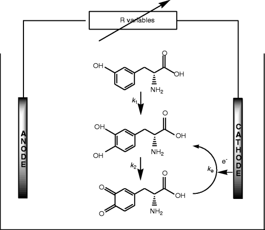 Overview on the biotechno logica l production of l-DOPA | SpringerLink