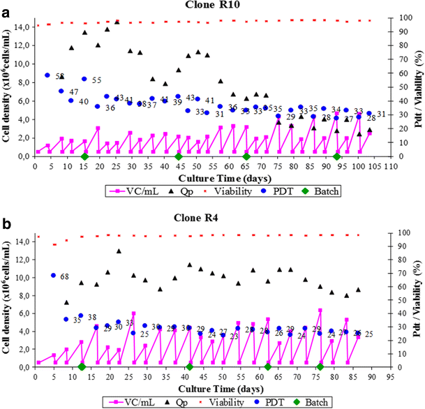 Genetic analyses of Per.C6 cell clones producing a therapeutic ...