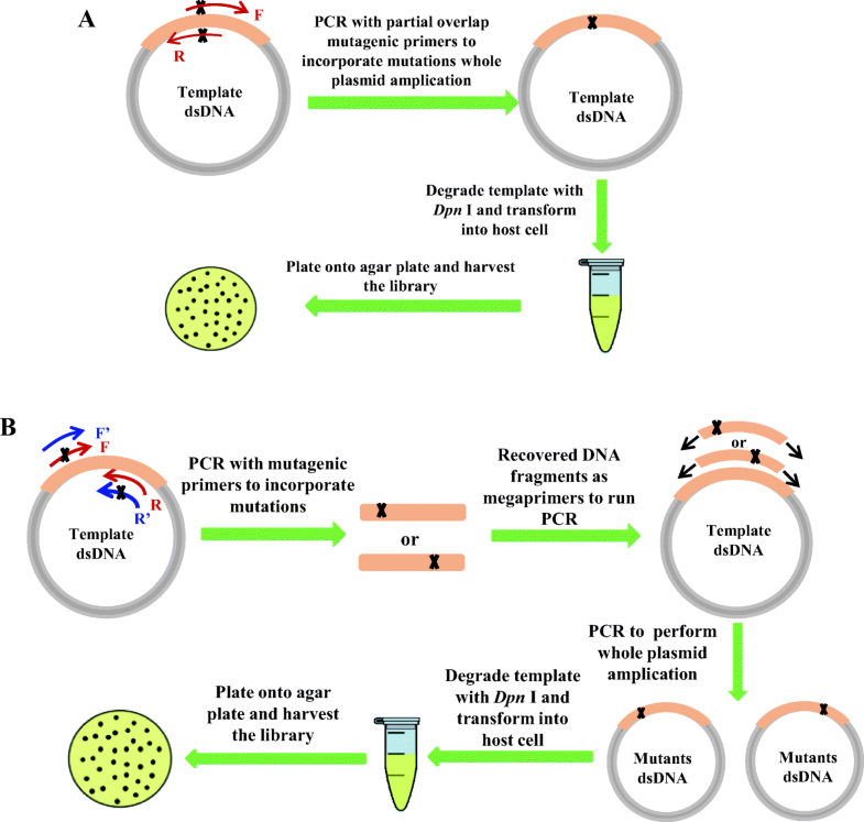Boosting the efficiency of site-saturation mutagenesis for a difficult ...