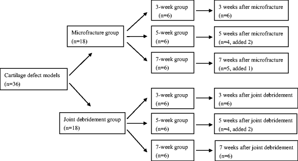 Quantitative magnetic resonance imaging (MRI) evaluation of cartilage ...