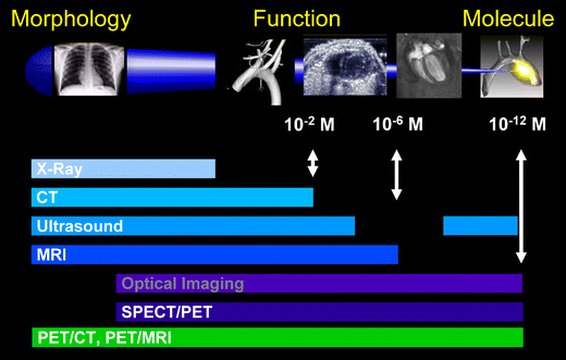 Multimodality molecular imaging — from target description to clinical ...