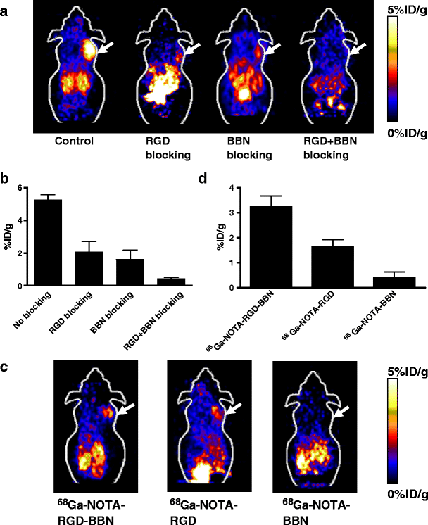 68Ga-labeled NOTA-RGD-BBN peptide for dual integrin and GRPR-targeted ...