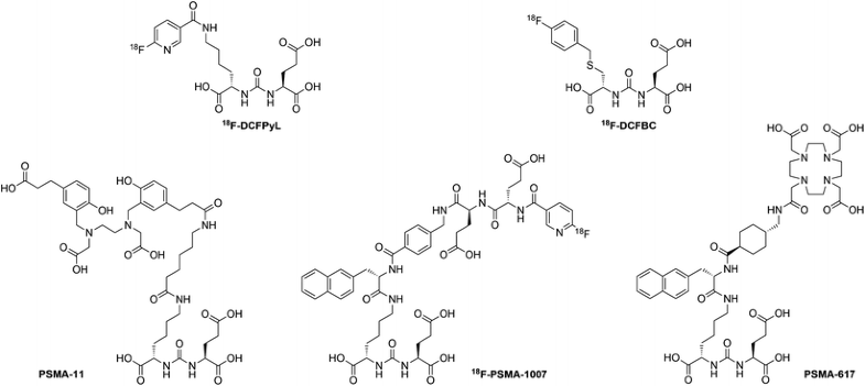F-18 labelled PSMA-1007: biodistribution, radiation dosimetry and ...