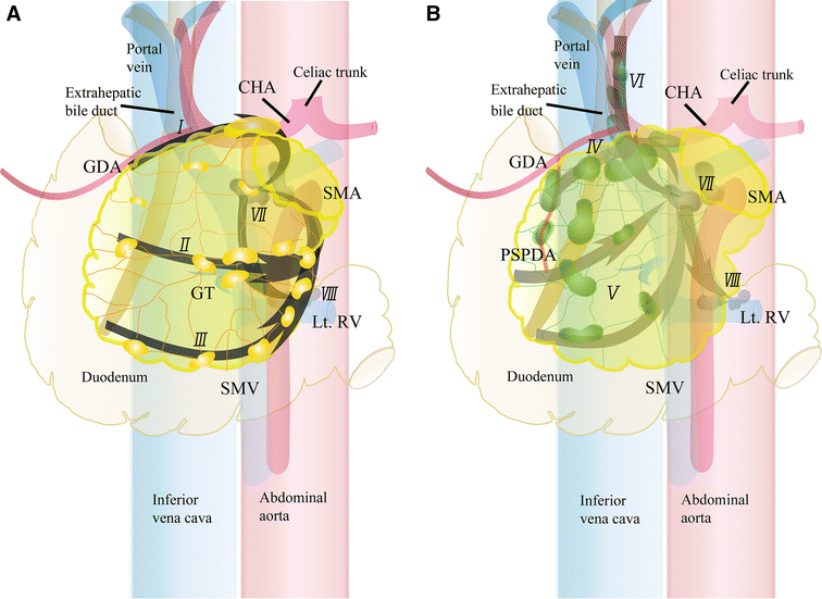 Lymphatic pathway around the pancreatic head and extrahepatic bile duct ...